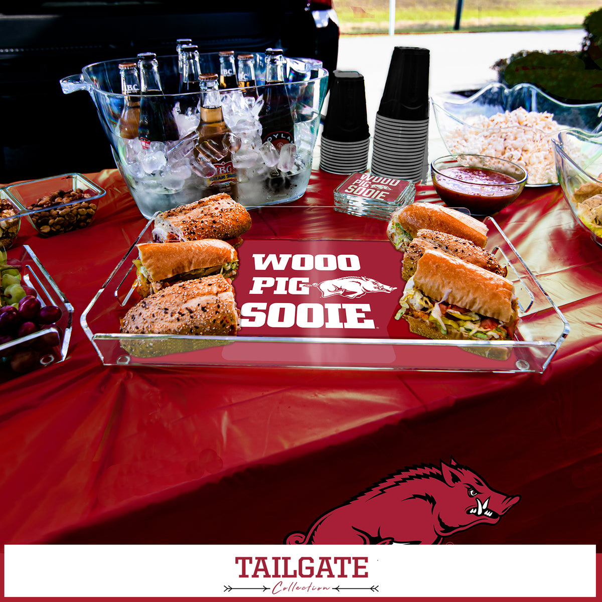 Arkansas Razorbacks - College Wall Art