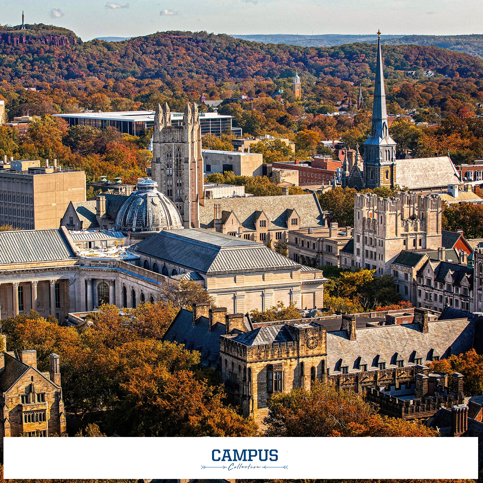 College Wall Art - Proudly Display Yale Bulldogs Art