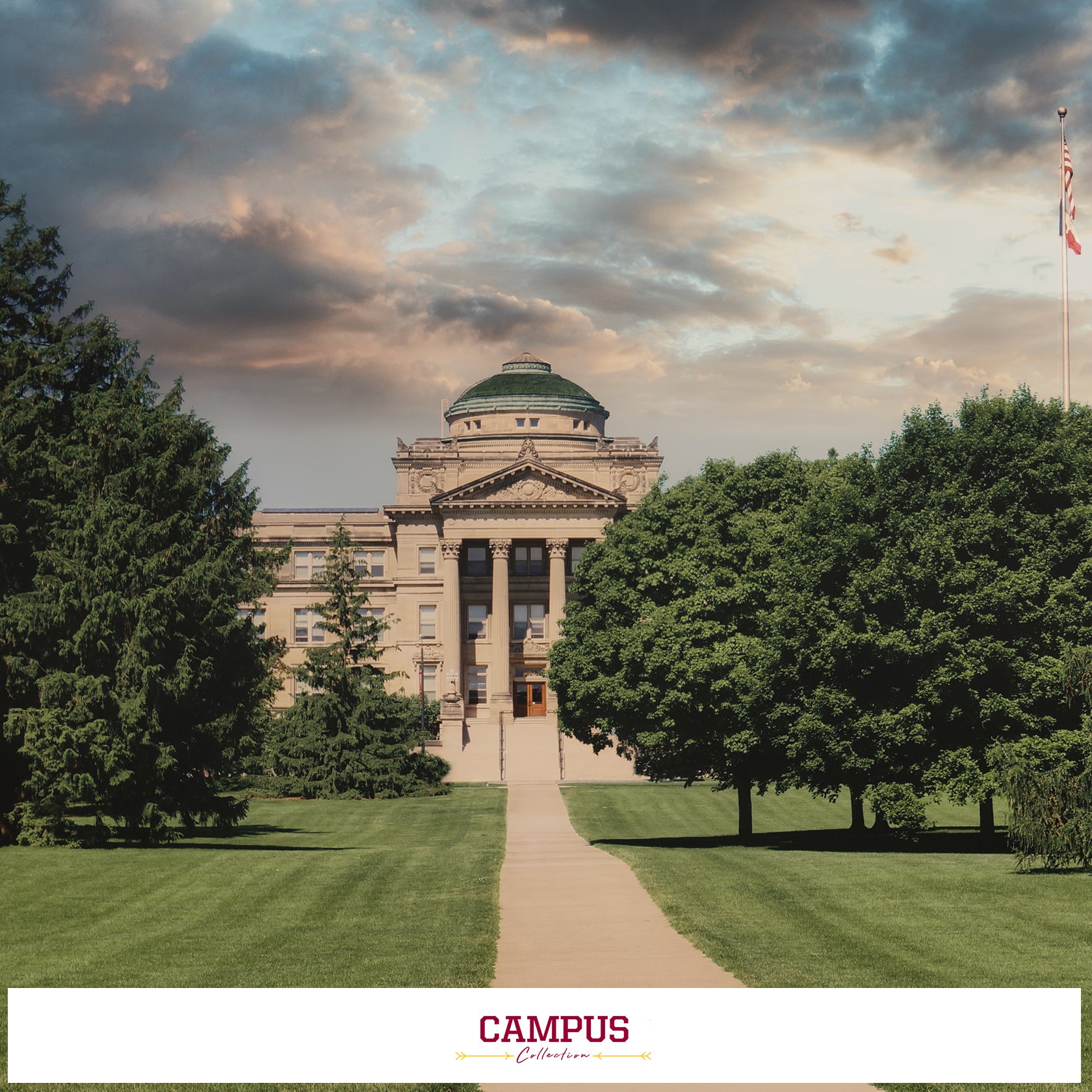 Iowa State Cyclones - College Wall Art