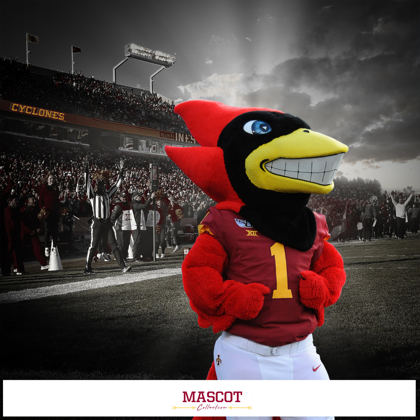 Iowa State Cyclones - College Wall Art