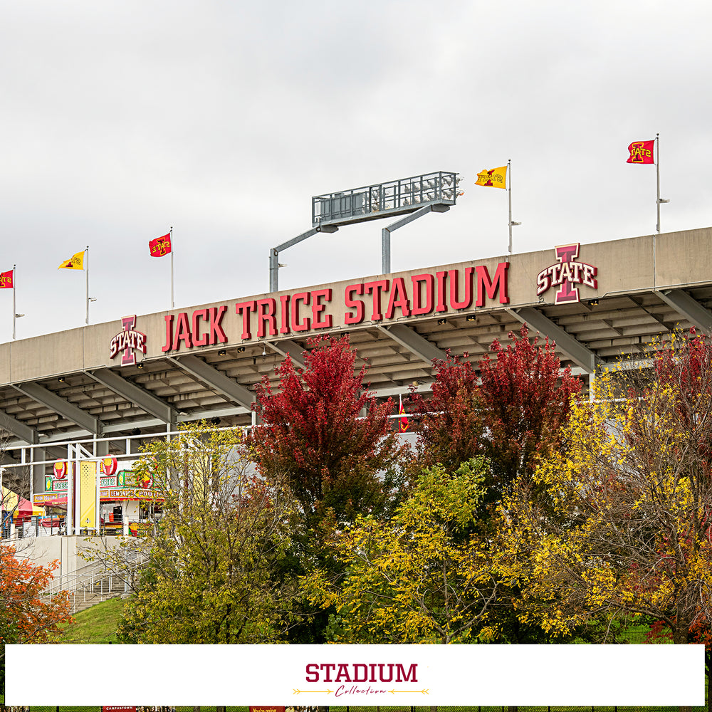 Iowa State Cyclones - College Wall Art