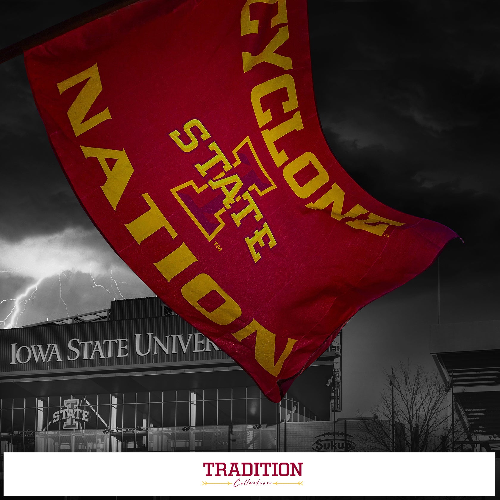 Iowa State Cyclones - College Wall Art