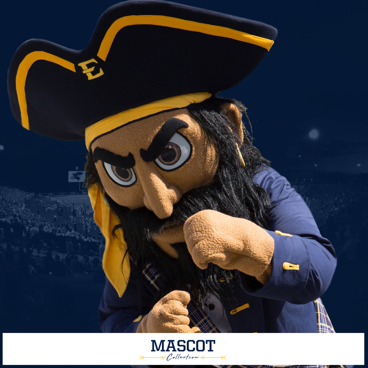 College Wall Art - Shop ETSU Bucs Art For Your Home