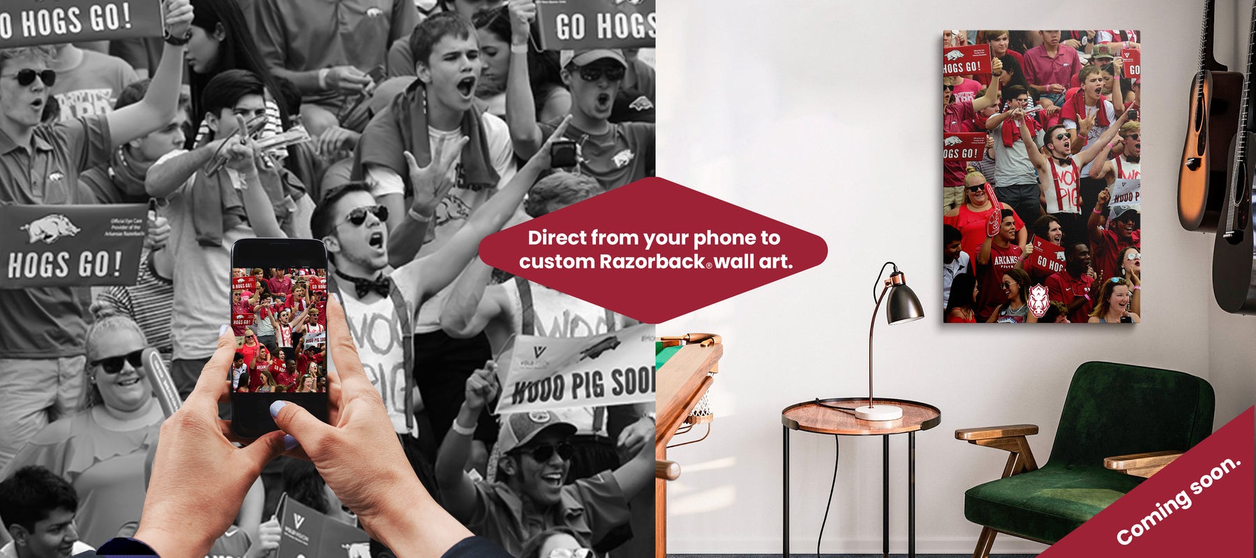 Arkansas Razorbacks - College Wall Art