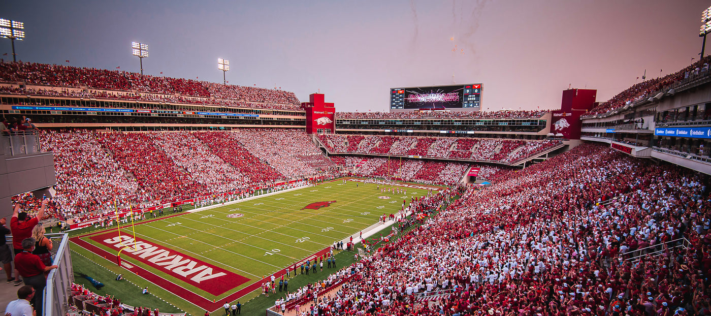 Arkansas Razorbacks - College Wall Art