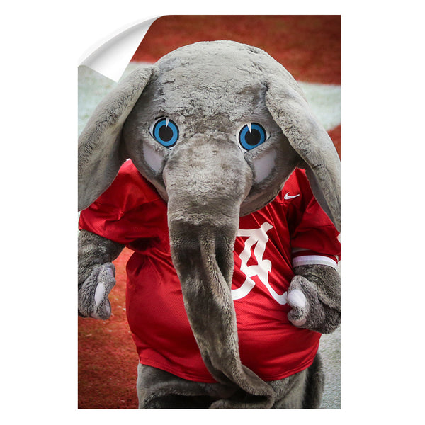 Alabama Crimson Tide - Big Al - Alabama Mascot - College Wall Art