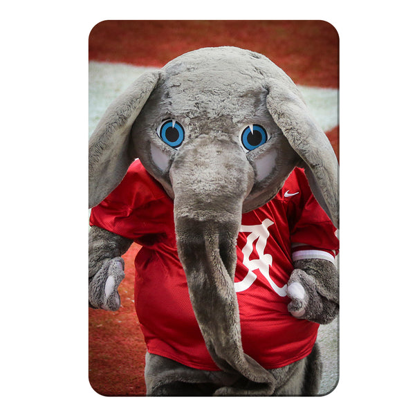 Alabama Crimson Tide - Big Al - Alabama Mascot - College Wall Art