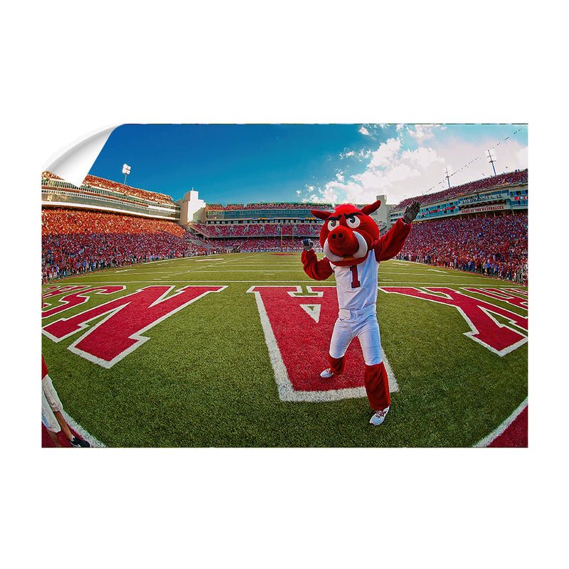 ARKANSAS RAZORBACKS - WALL DECAL - College Wall Art