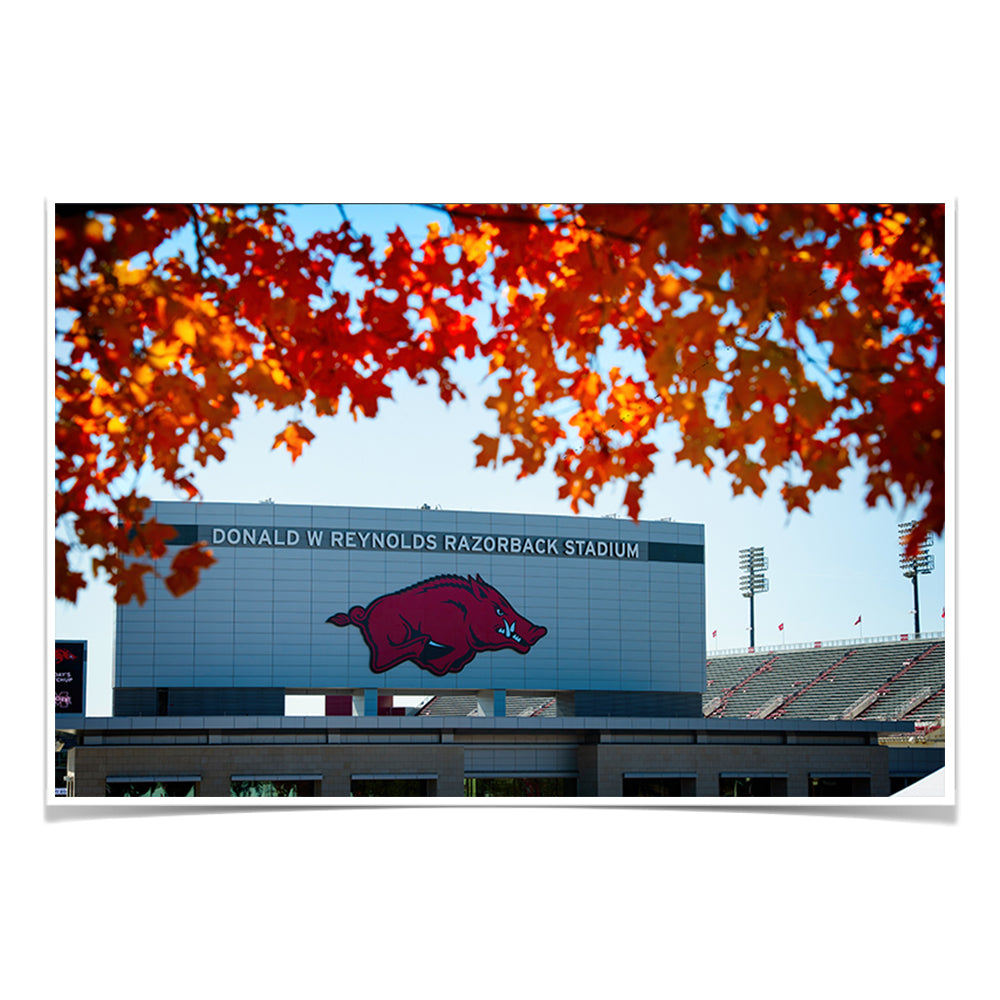 ARKANSAS RAZORBACKS - POSTER - College Wall Art