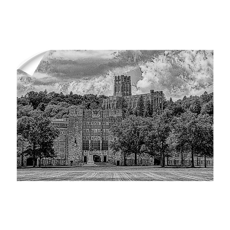 Army West Point Black Knights - Wall Decal - College Wall Art