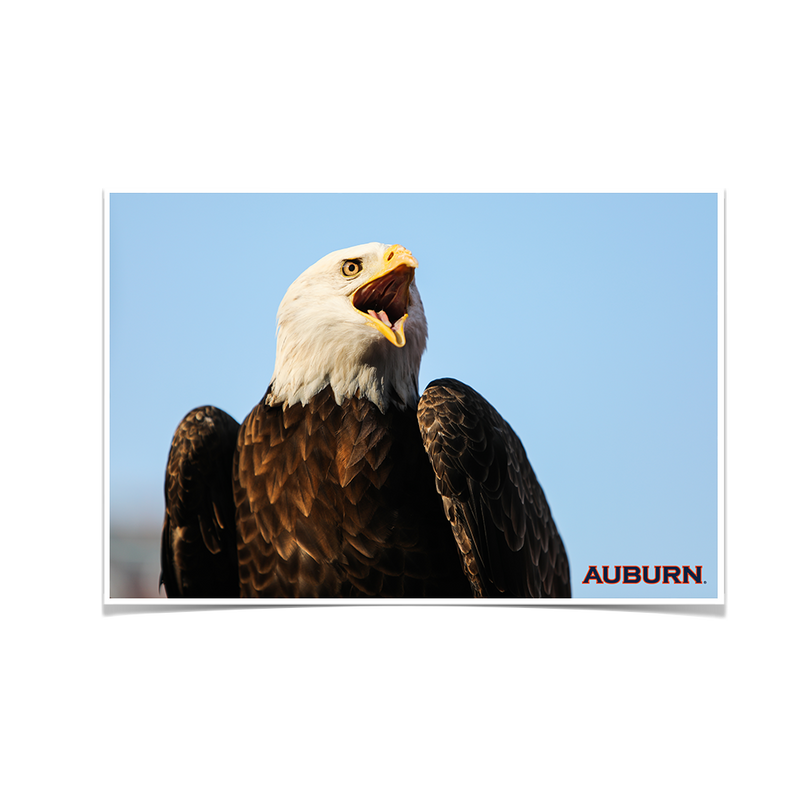 Auburn Tigers - War Eagle - Jordan Hare Stadium - College Wall Art
