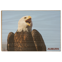 Auburn Tigers - War Eagle - Jordan Hare Stadium - College Wall Art