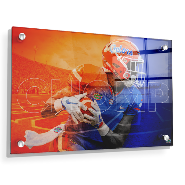 Florida Gators - Florida Gators Football - Orange and Blue - College ...