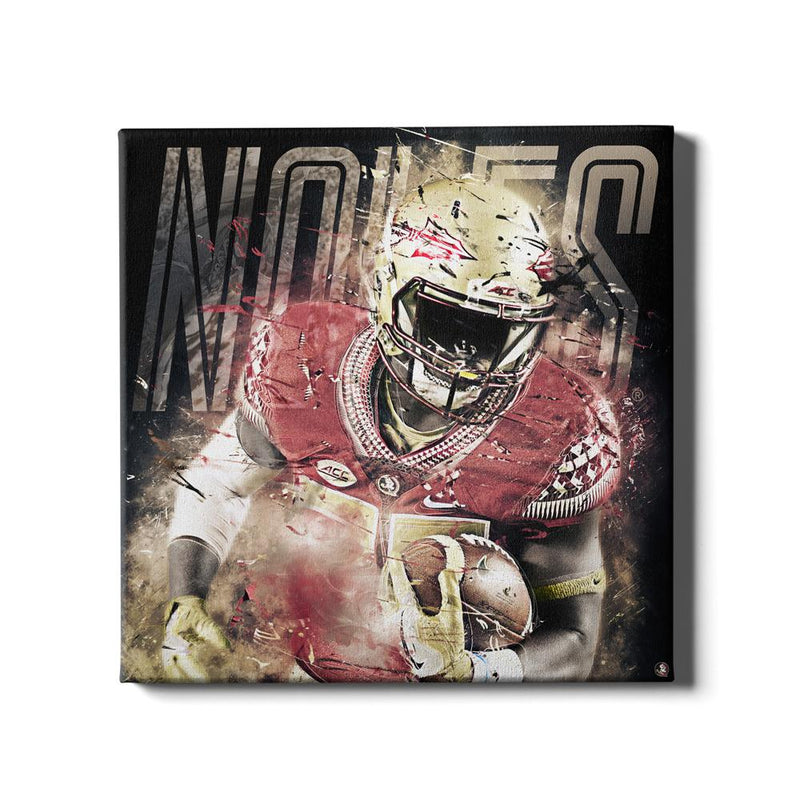 Florida State Seminoles - Noles - College Wall Art