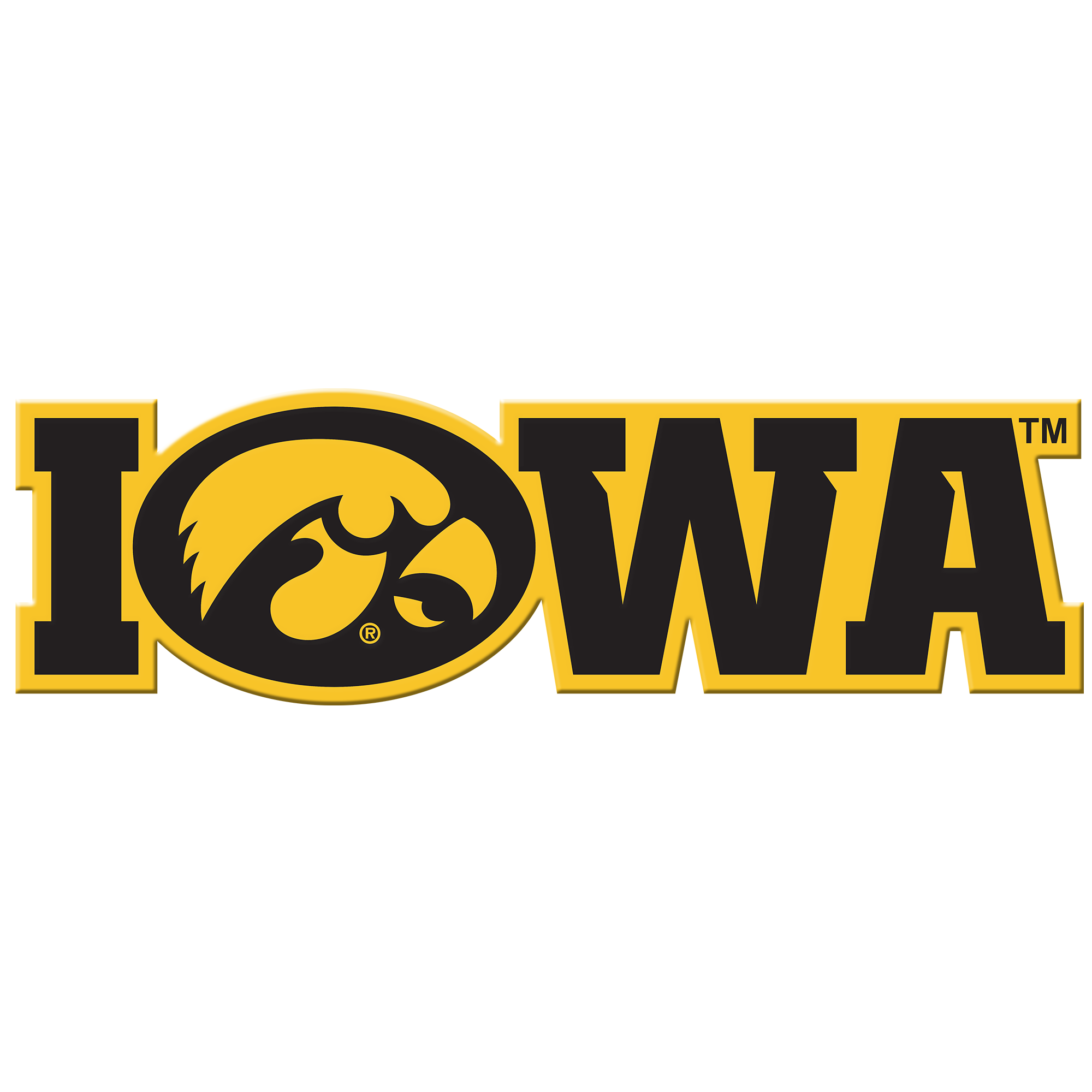 University Iowa Logo