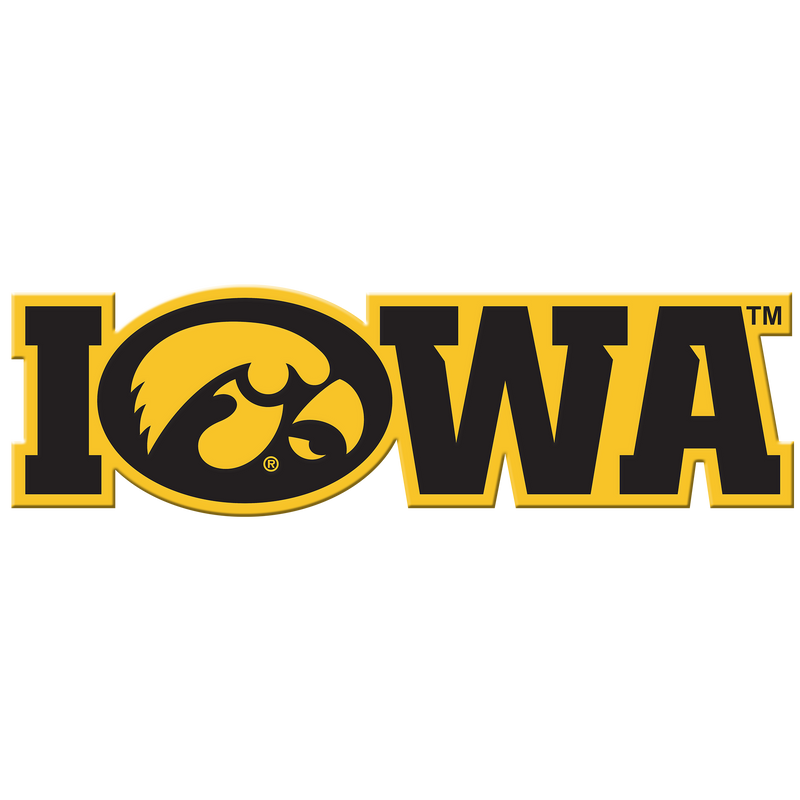 Iowa Hawkeyes - Tigerhawk - Iowa Logo - College Wall Art