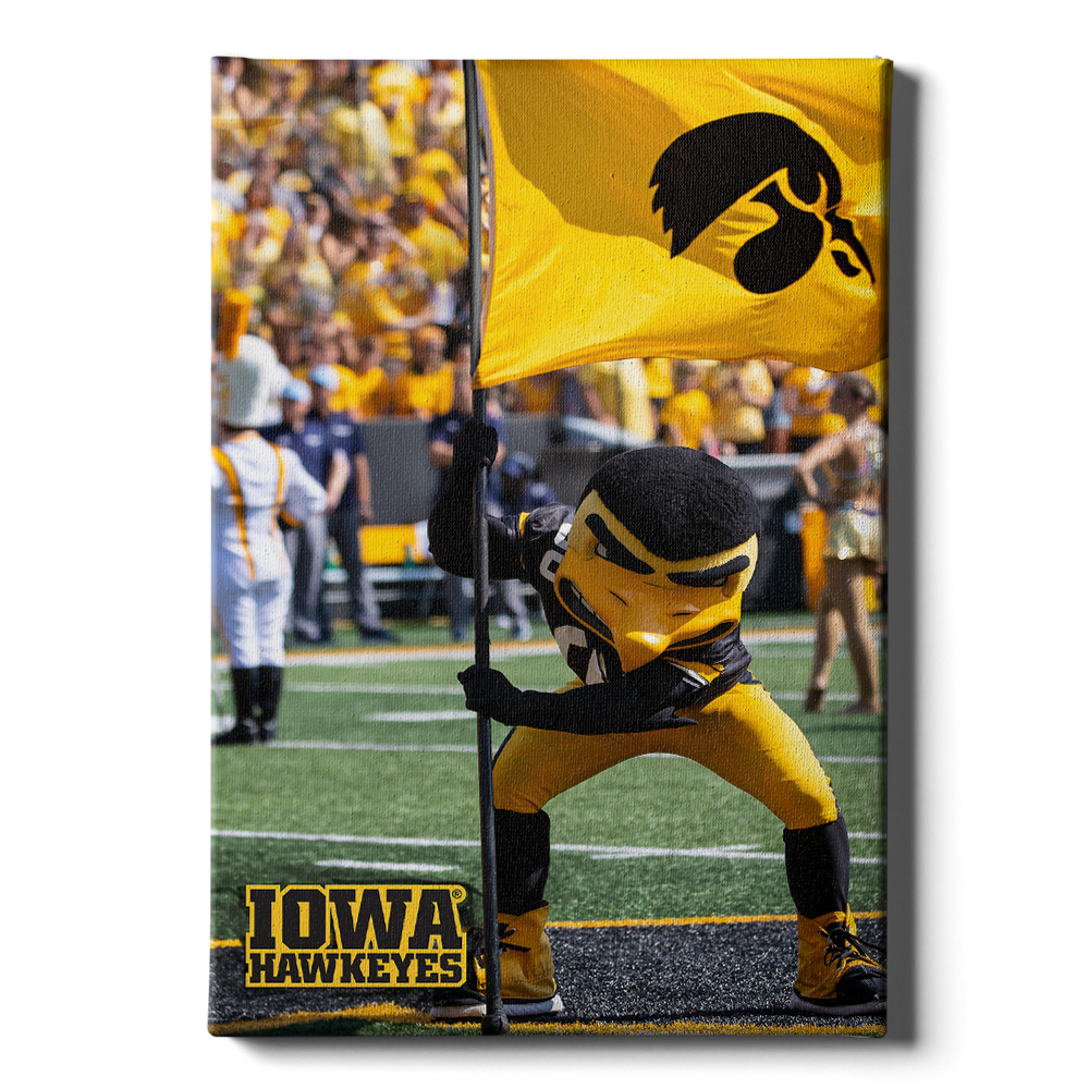 Iowa Hawkeyes - Tigerhawk Logo - Tigerhawk - College Wall Art