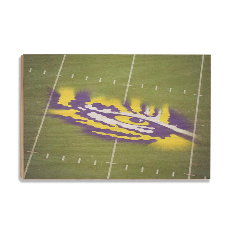 LSU Tigers - Eye of the Tiger - Mike the Tiger - LSU Tiger Stadium ...