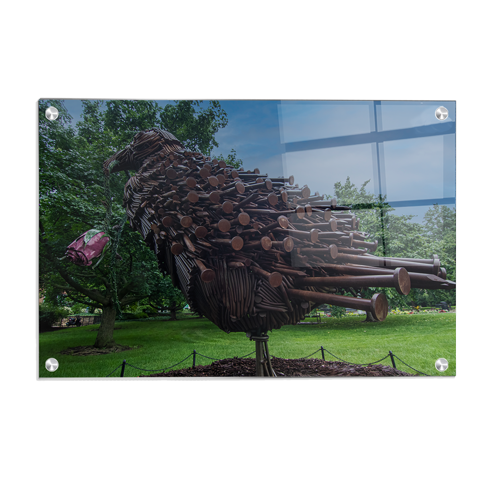 Michigan State Spartans MSU Bird MSU Campus - College Wall Art