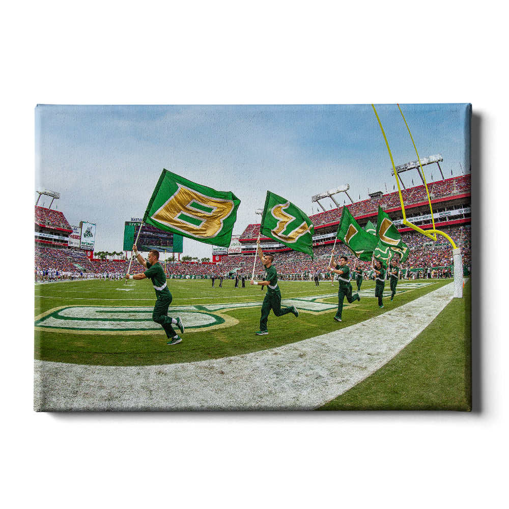USF Bulls - Bull Watch Licensed Wall Art - College Wall Art