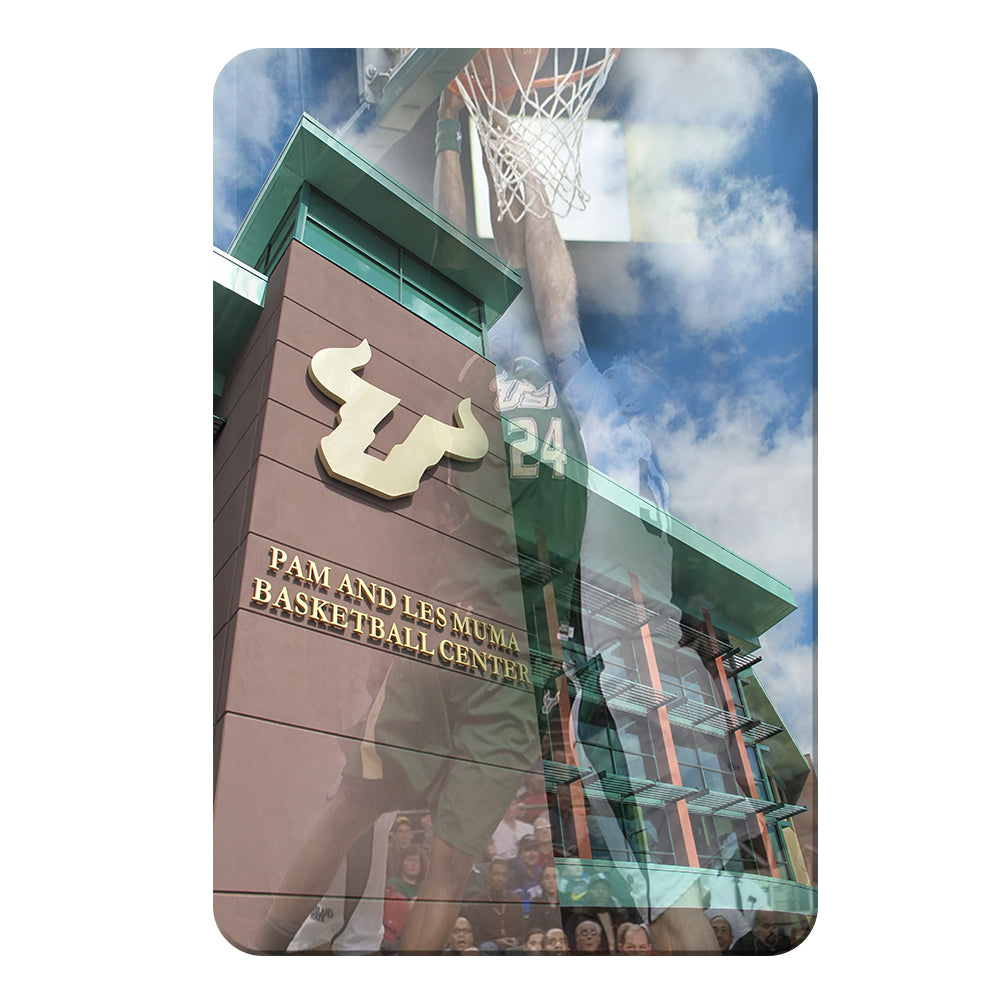 USF Bulls - South Florida Basketball - University of South Florida ...