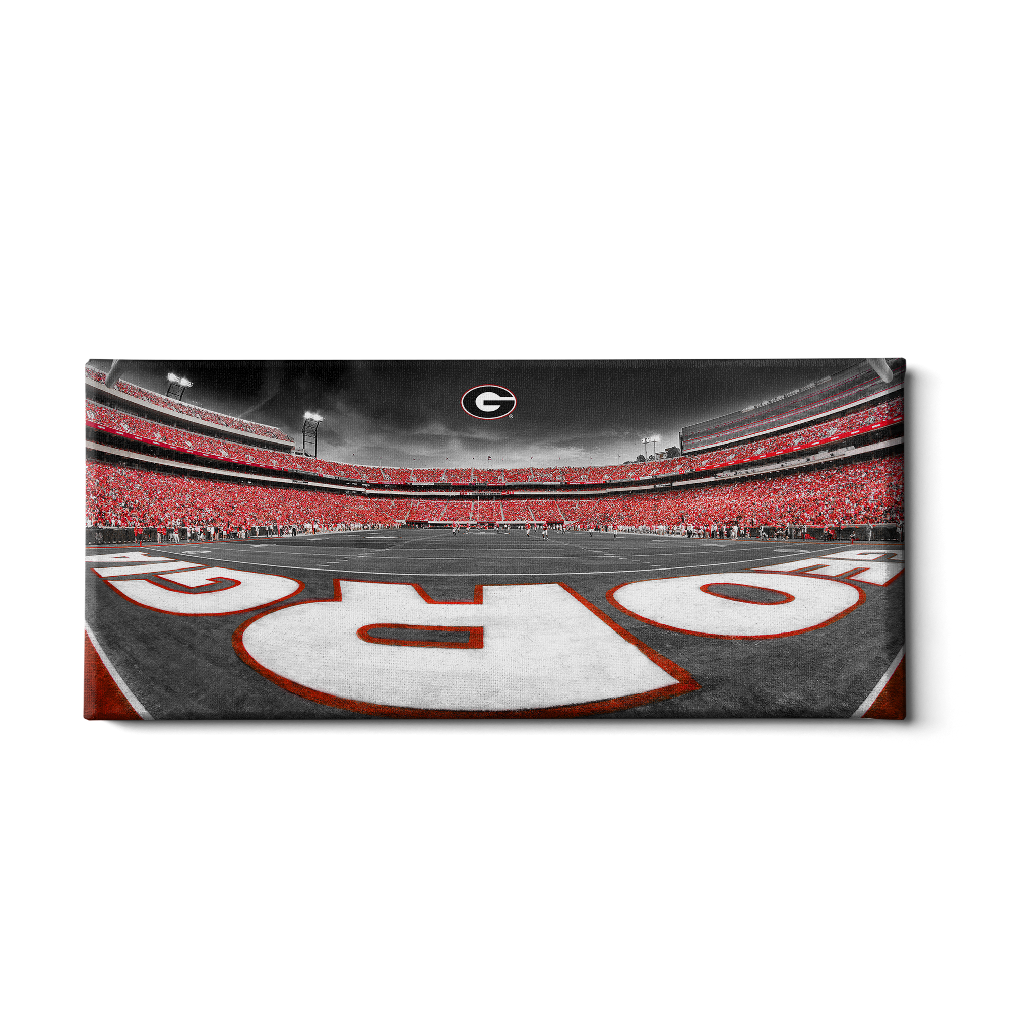 Georgia Bulldogs - Sanford Stadium End Zone Duotone - College Wall Art