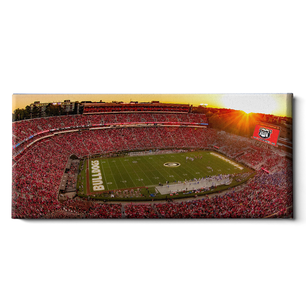 Georgia Bulldogs - Stadium - College Wall Art