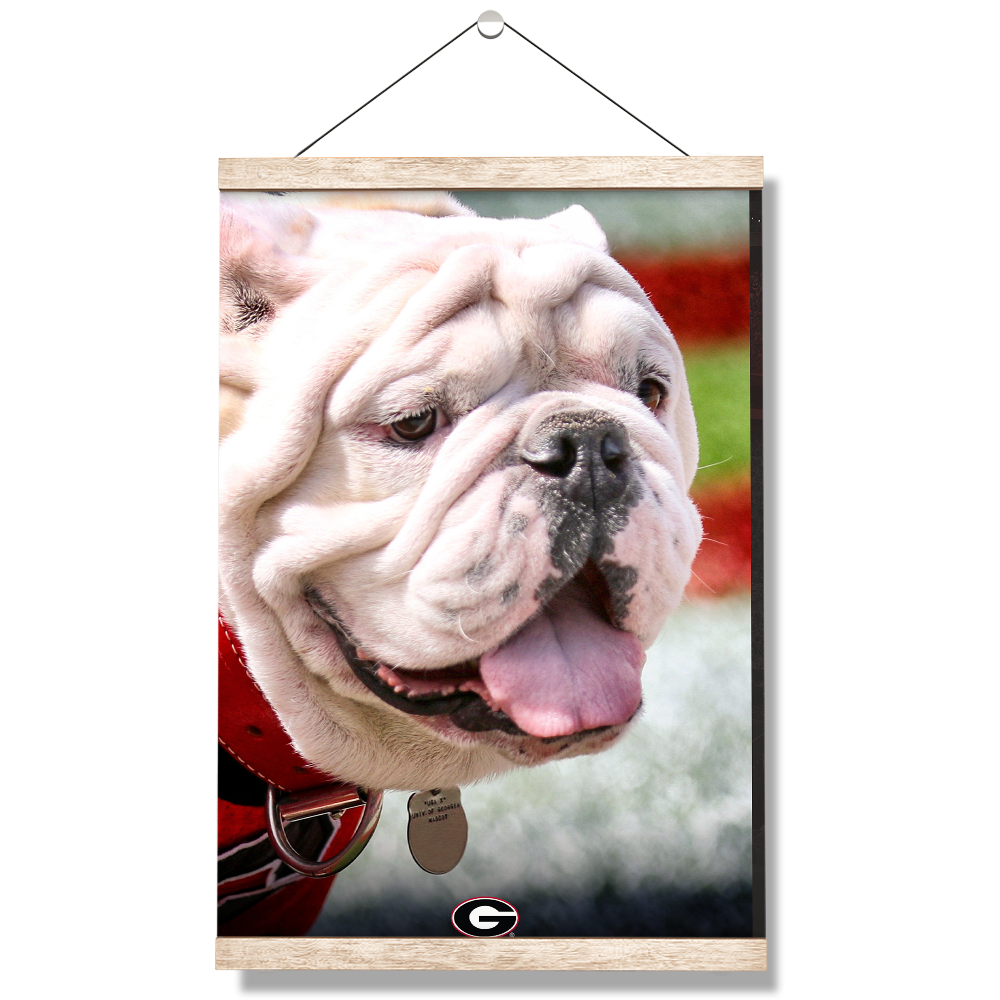 Georgia Flag Georgia Bulldogs 2x3 Foot Flag - College Flags & Banners ...