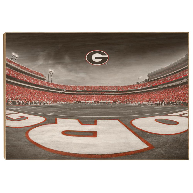 Georgia Bulldogs - Sanford Stadium End Zone Duotone - College Wall Art