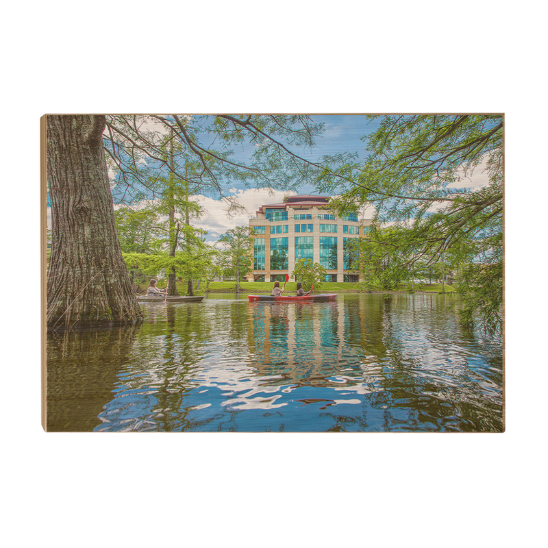 louisiana-monroe-warhawks-the-Bayou-college-wall-art - College Wall Art