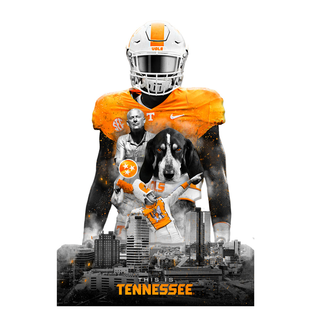 Tennessee-Volunteers-Smokey's-Head-Logo-Dimensional-College-Wall-Art ...