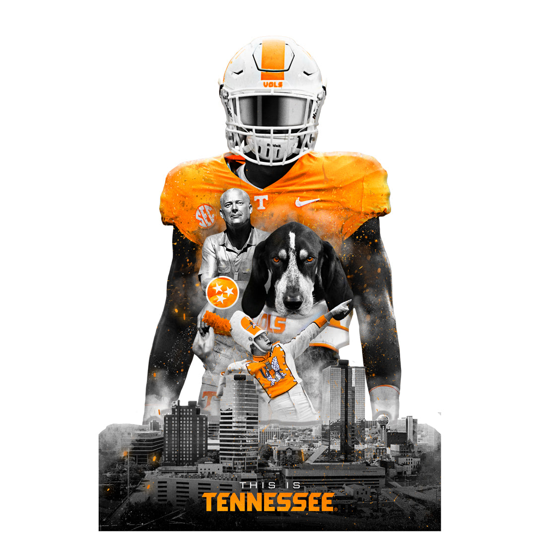Tennessee-Volunteers-Smokey's-Head-Logo-Dimensional-College-Wall-Art ...