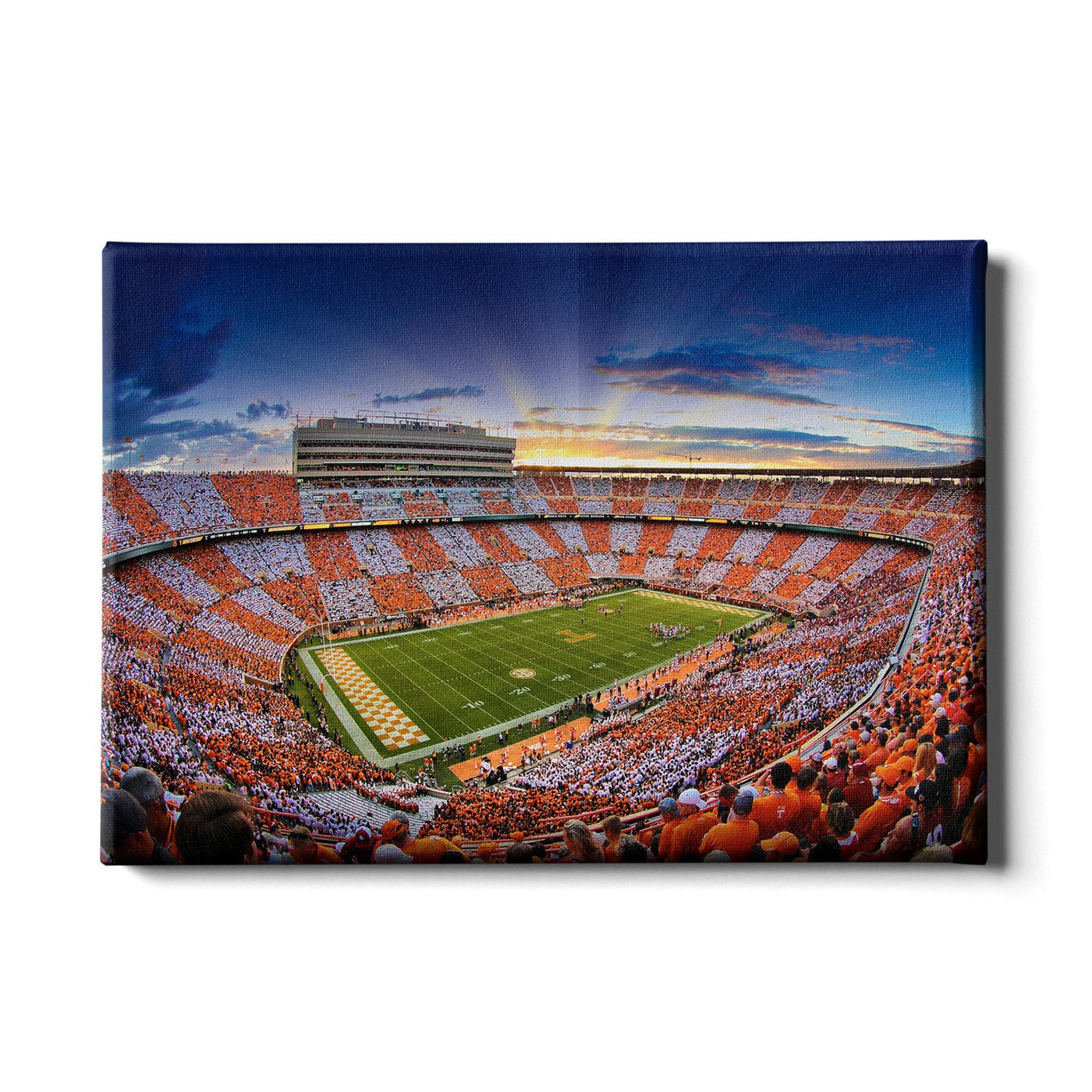 Tennessee Volunteers - Checkerboard Smokey - College Wall Art