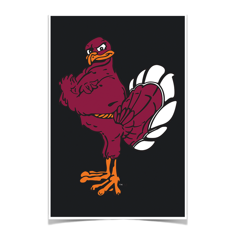 Virginia Tech Hokies - Hokie Bird - Virginia Tech Mascot - VT Mascot ...