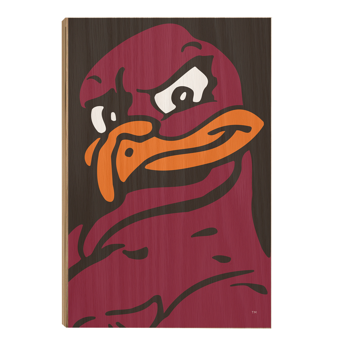 Virginia Tech Hokies - Hokie Bird - VT Mascot - College Wall Art