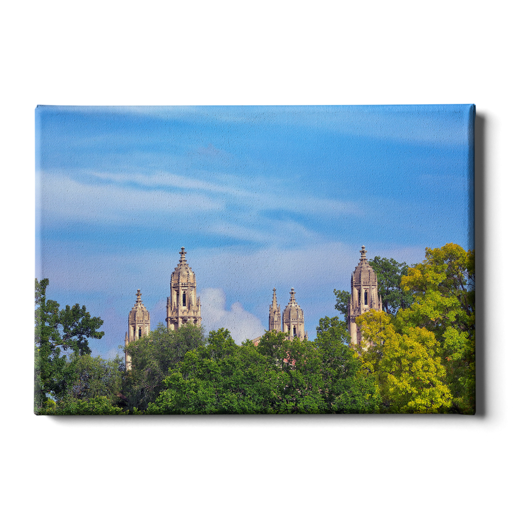 WashU - The Skyline - College Wall Art