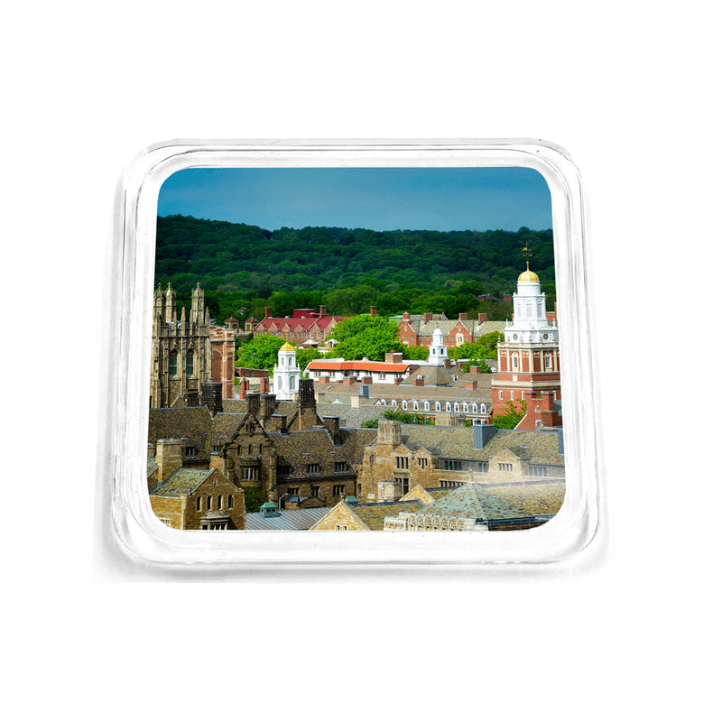 Yale Bulldogs - Campus Wall Art Collection - College Wall Art