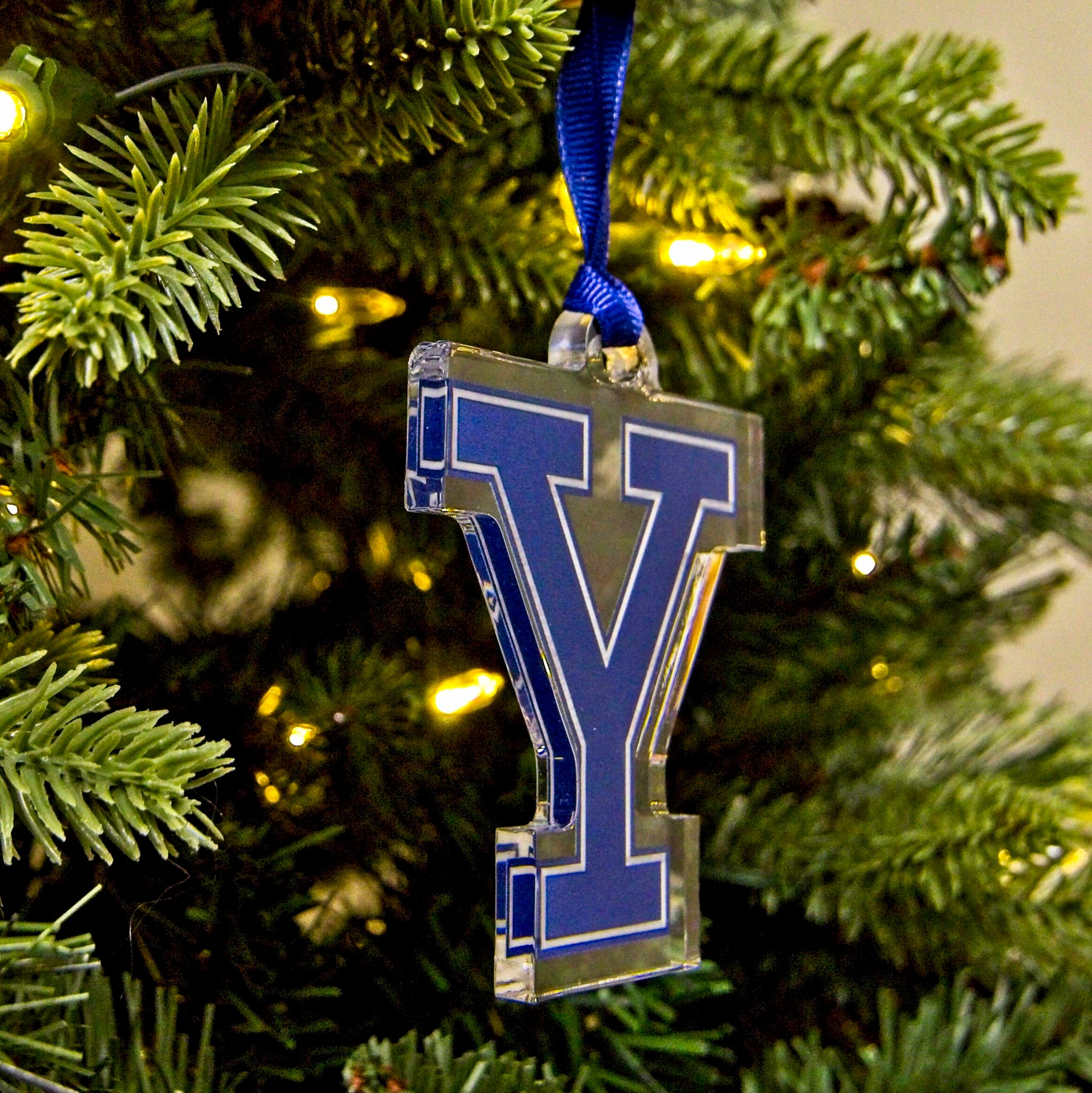 College Wall Art - Proudly Display Yale Bulldogs Art