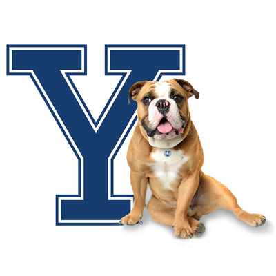 Yale Bulldogs - Yale Handsome Dan Single Layer Dimensional Wall Art ...